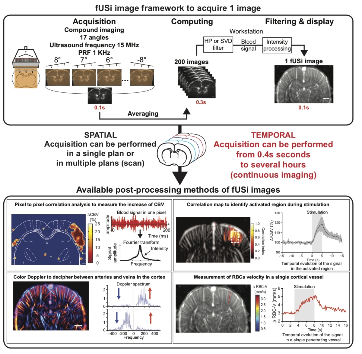 Products – functional ultrasound imaging (fUSI)