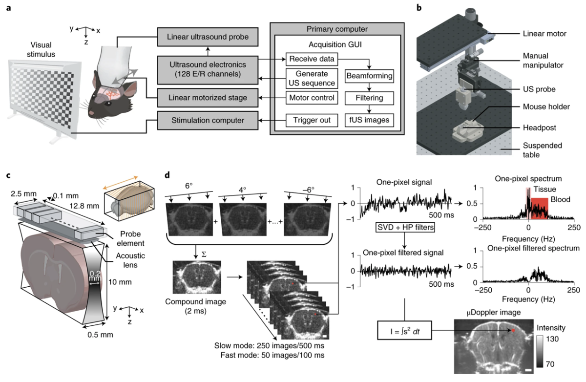 AUTC – fUSI – imaging of brain activity like never before